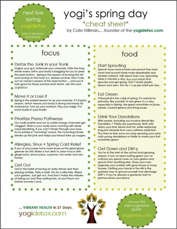 Ayurveda for Spring Guidelines