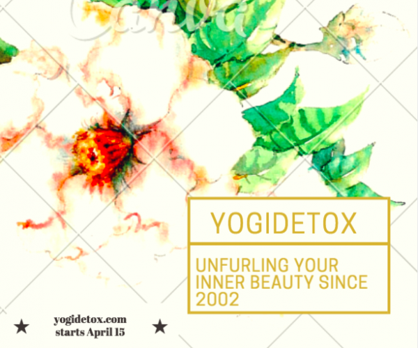 Detox Cheatsheet: Daily Checklist + Food Guidelines - Yogahealer