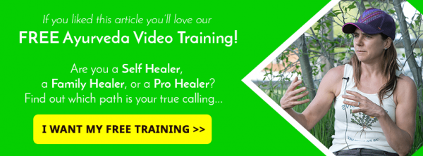 4 of My Favorite Living Ayurveda Books