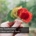 Jason Nemer on AcroYoga, Trust, Connectivity, + Small, Powerful ...