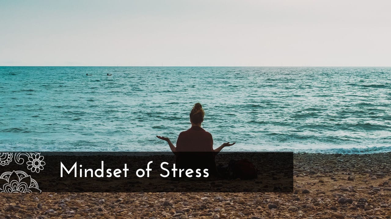 Mindset of Stress - Yogahealer