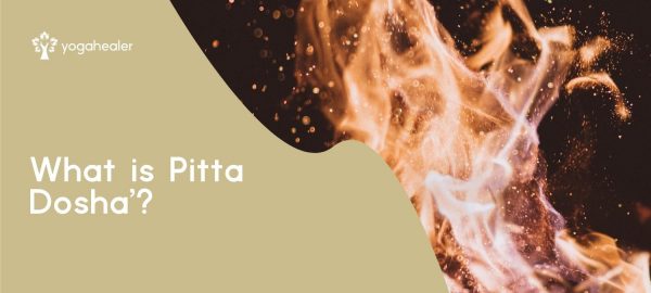 What is Pitta Dosha - Yogahealer