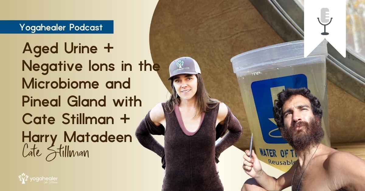 Aged Urine + Negative Ions in the Microbiome and Pineal Gland with Cate ...