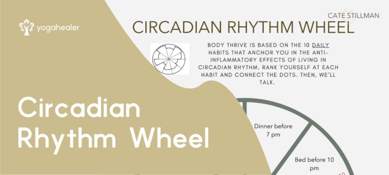 Circadian Rhythm Wheel - Yogahealer