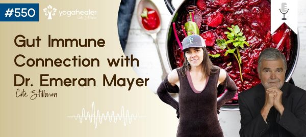 Gut Immune Connection with Dr. Emeran Mayer - Yogahealer